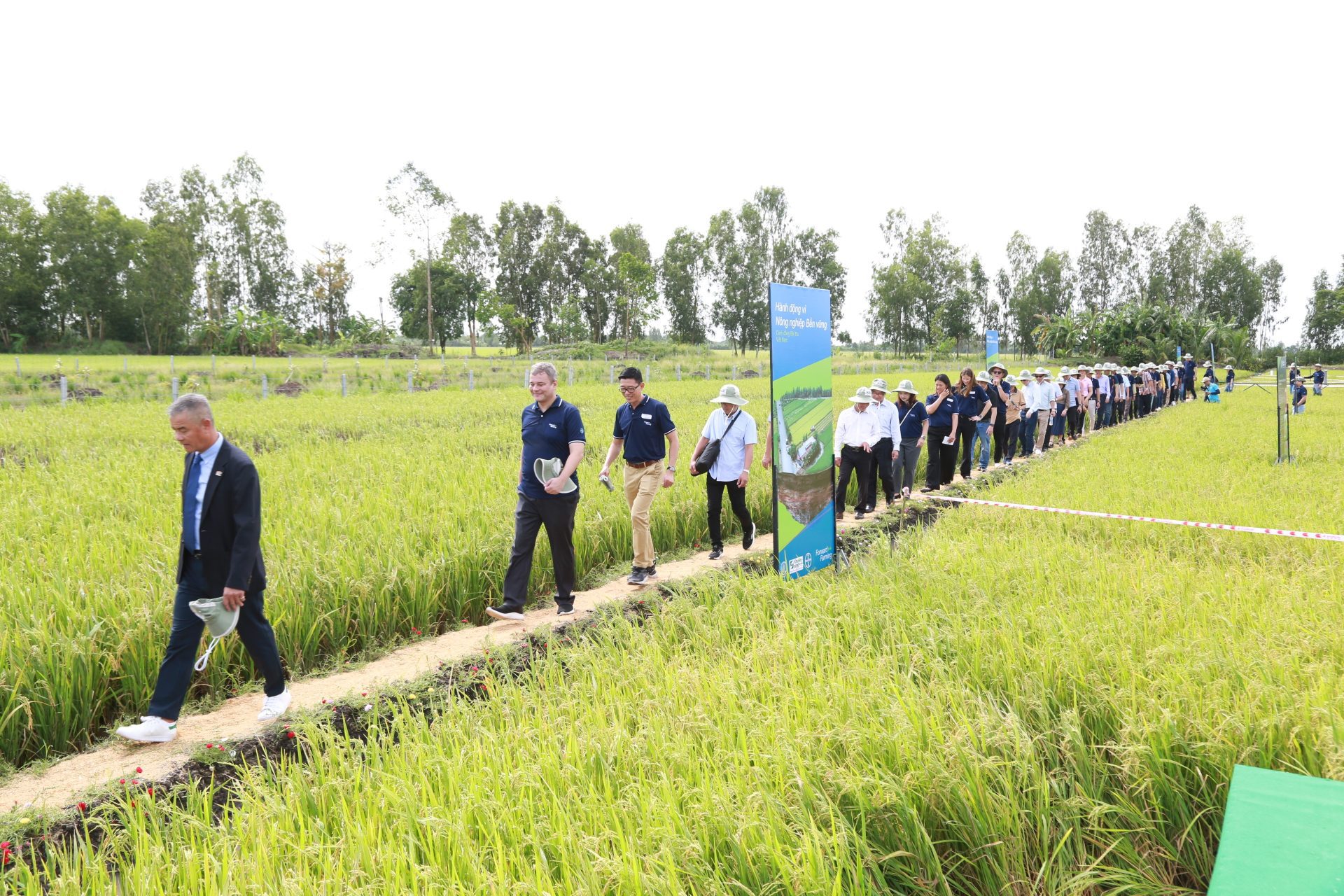 [CORPORATE] First Bayer ForwardFarm of Southeast Asia launched in ...